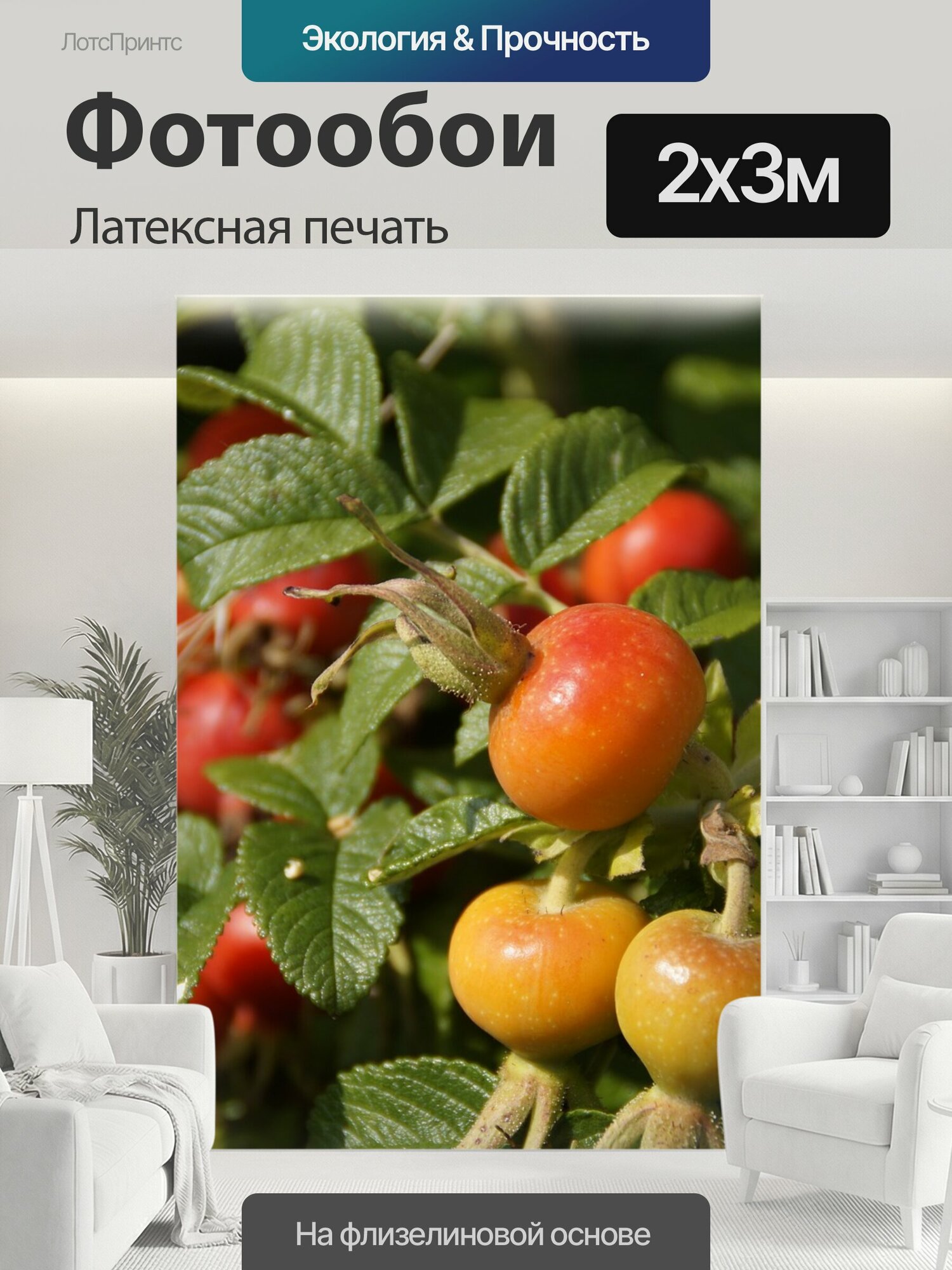 Фотообои моющиеся ударопрочные "Шиповника, собачьи розы, розы" 200x300 см. латексная печать
