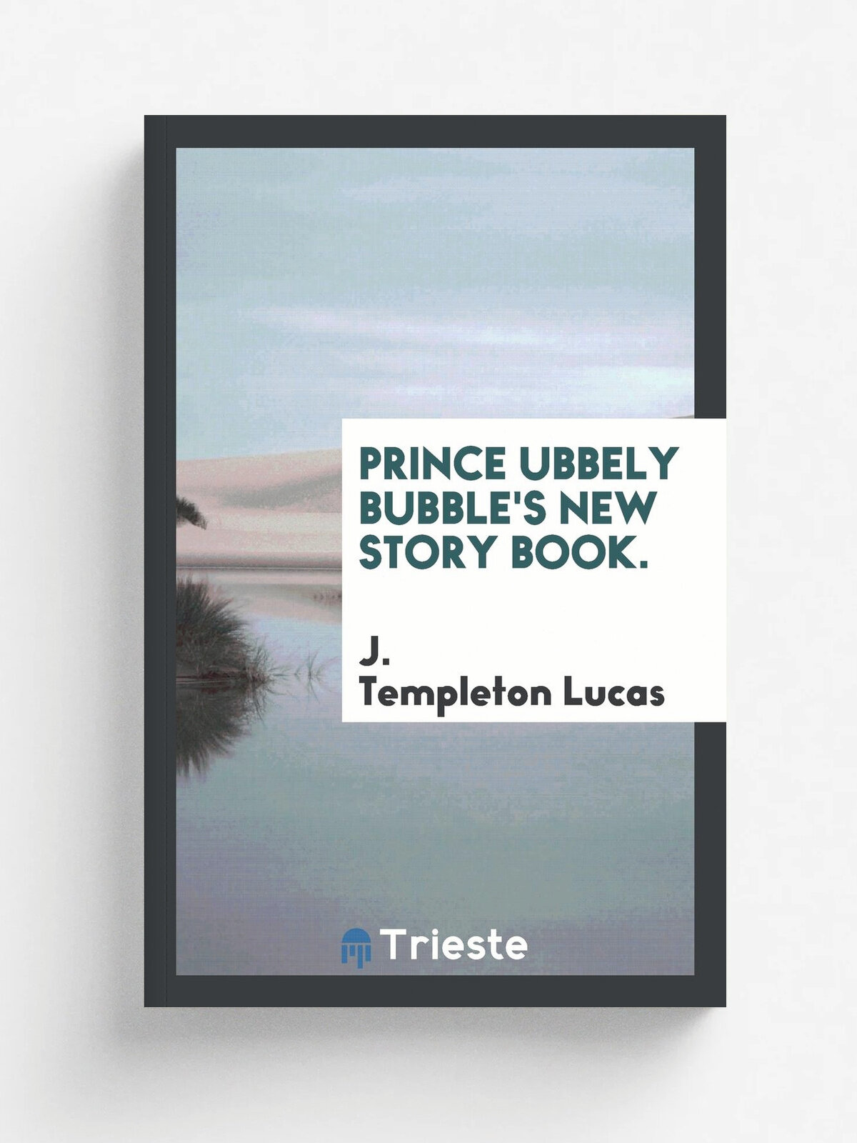 Prince Ubbely Bubble's new story book.