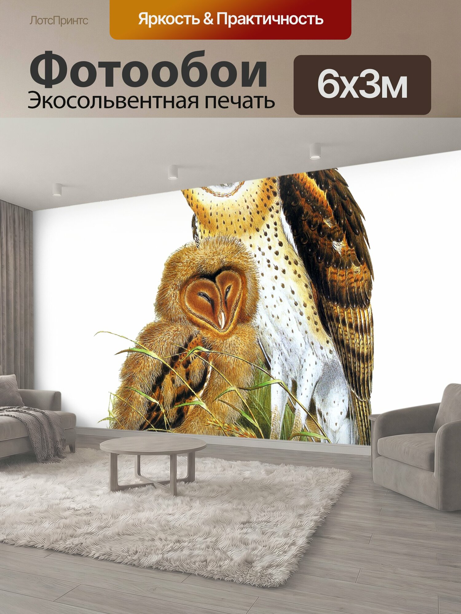 Фотообои "Сова с Сове Винтаж Восточная травяная сова с детенышем совенка клипарт, старинное искусство на прозрачном фоне png, также называемое." 600x300 см. экосольвентная печать