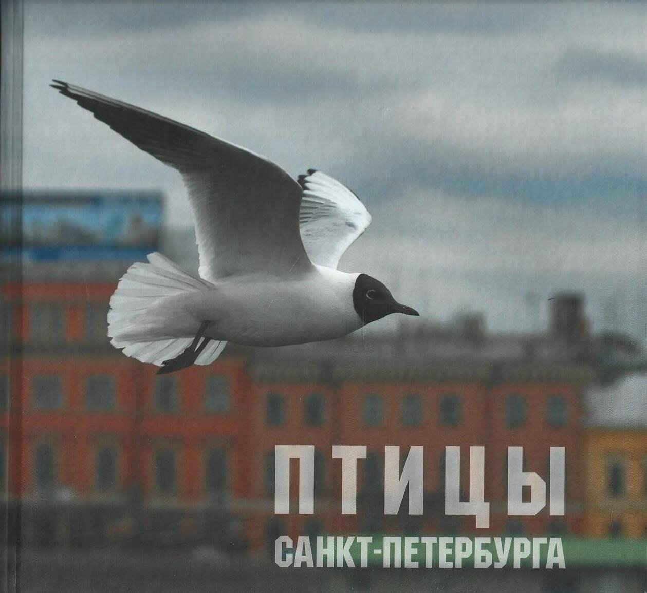Птицы Санкт-Петербурга. Альбом +CD