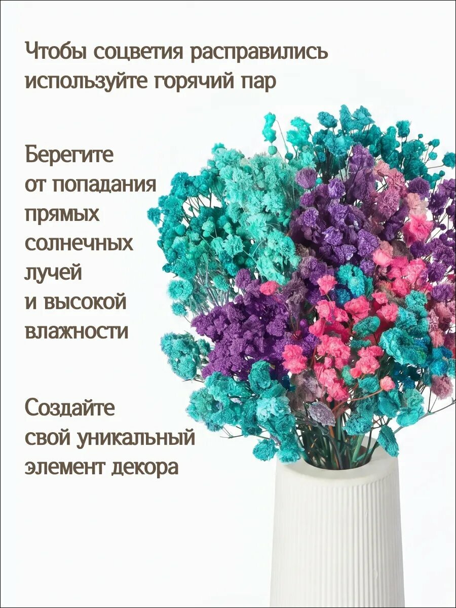 Гипсофилы мини 5 букетов, до 15 см сухоцветы для декора и интерьера elka.bio — фото 1