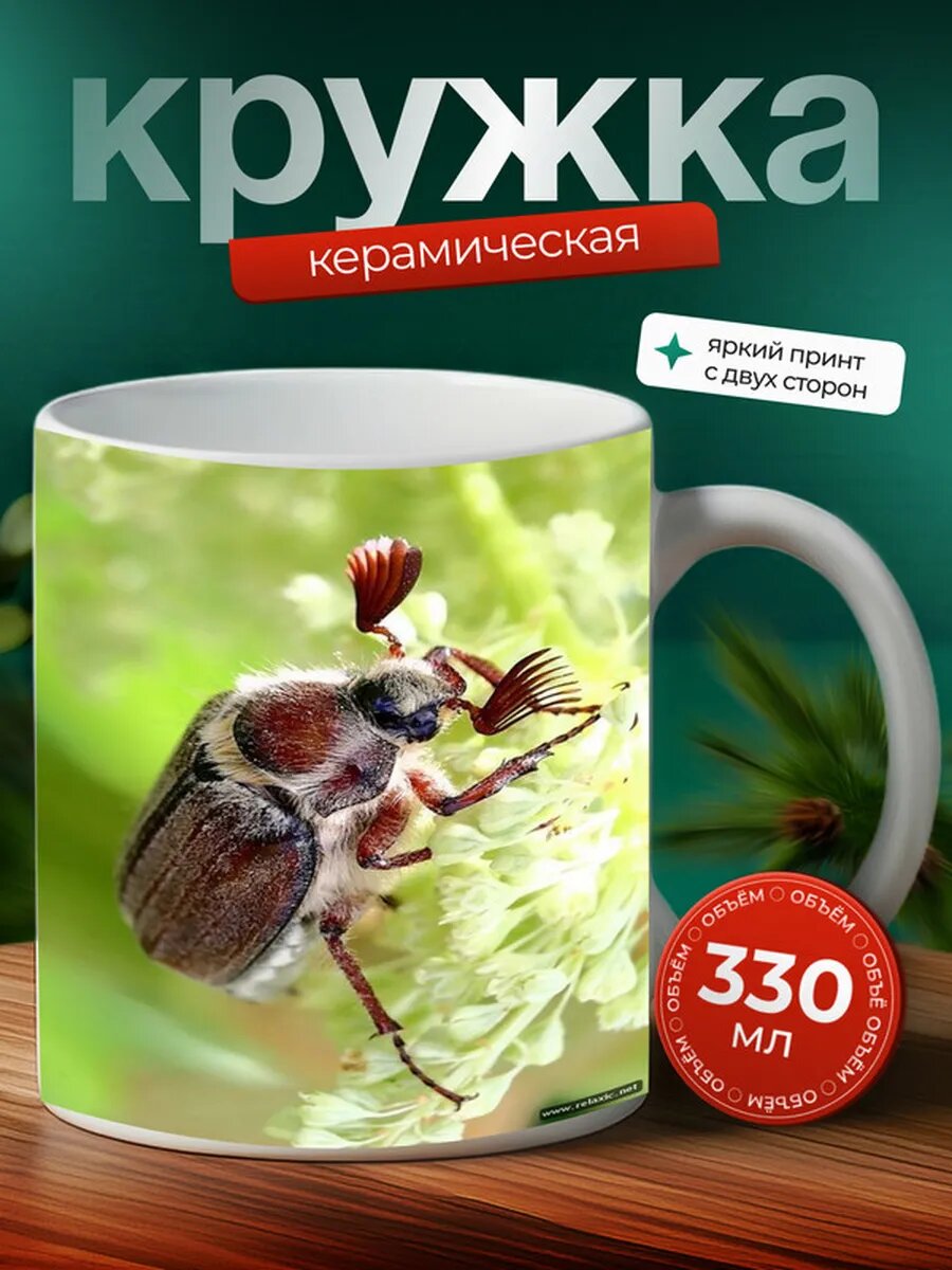 Кружка Майский жук насекомое 8,