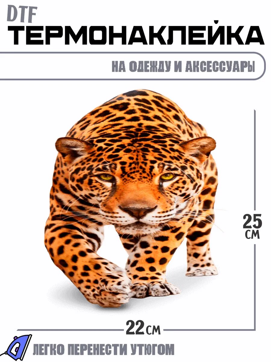 Термонаклейка Леопард