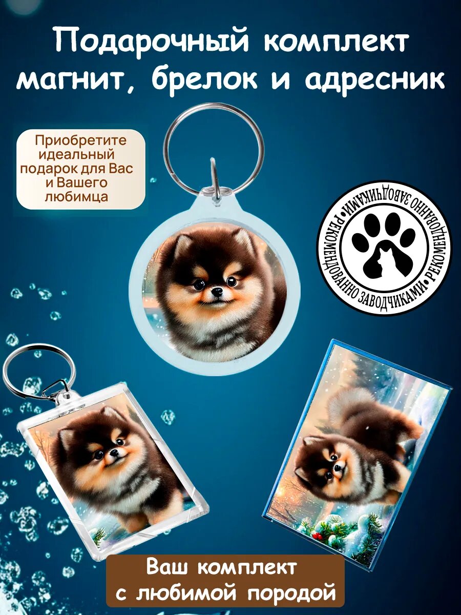 Подарочный комплект магнит брелок адресник