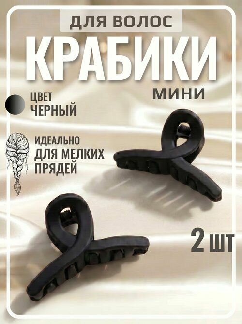 Крабики для волос маленькие набор 2 шт