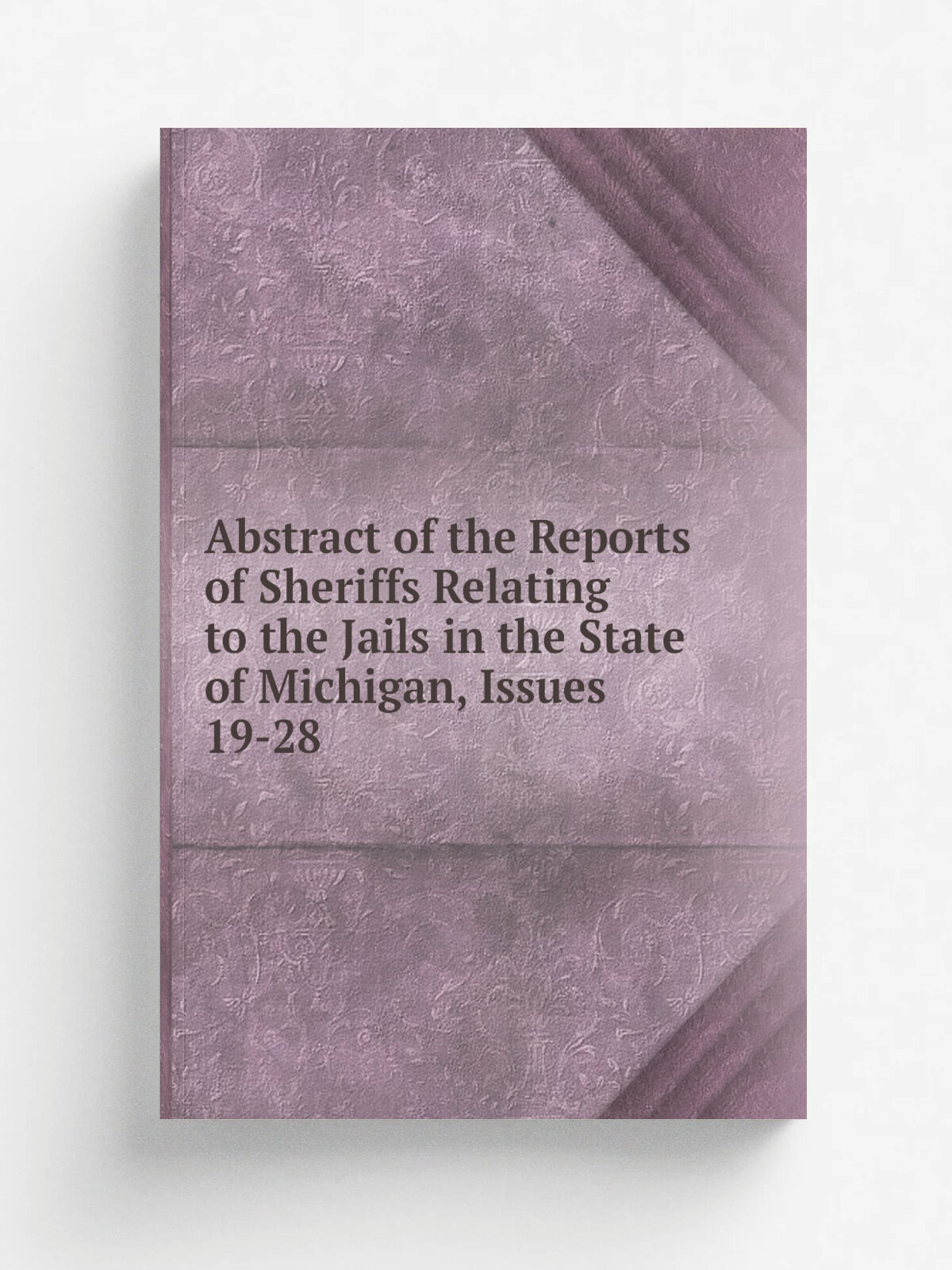 Abstract of the Reports of Sheriffs Relating to the Jails in the State of Michigan, Issues 19-28