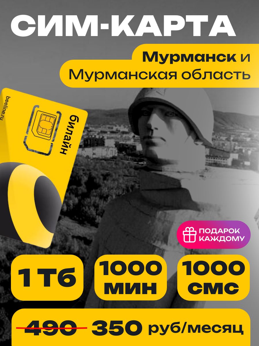 Сим-карта Билайн тариф Эксклюзивный Хит Мурманская область 1000 Гб и 1000 минут за 350 руб.