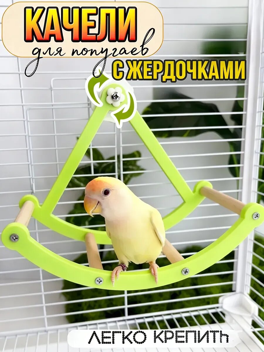 Качели для попугаев