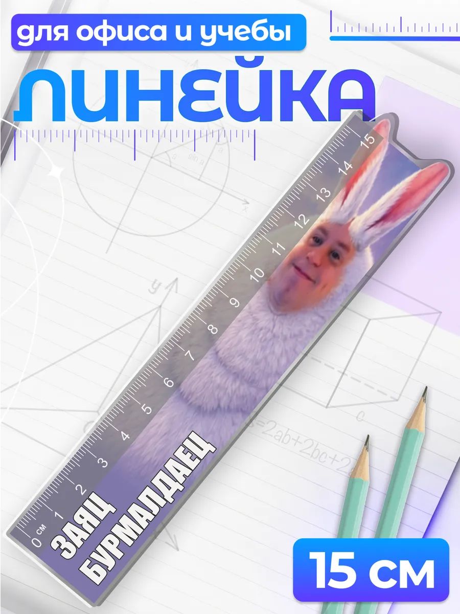 Канцелярия для школы линейка 15см / мем меллстрой котость