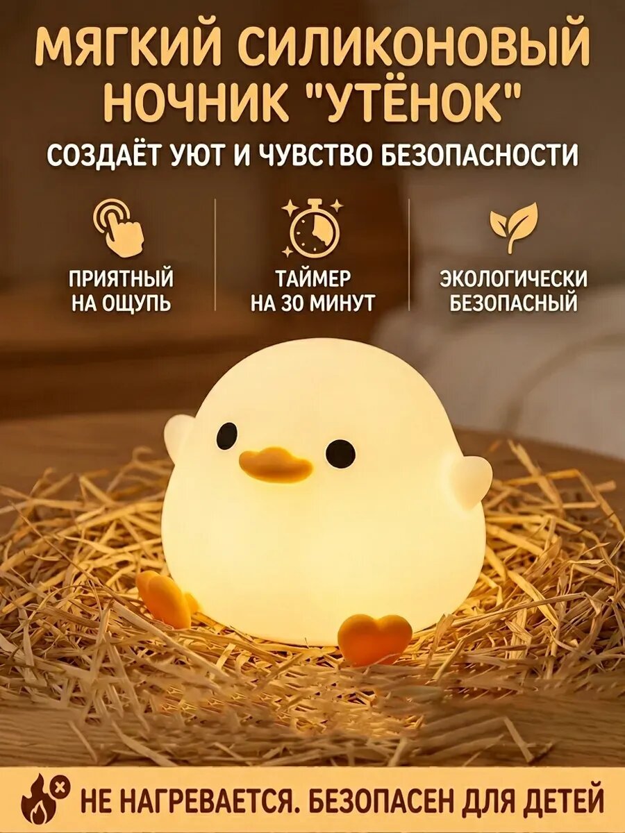 Ночник тыква