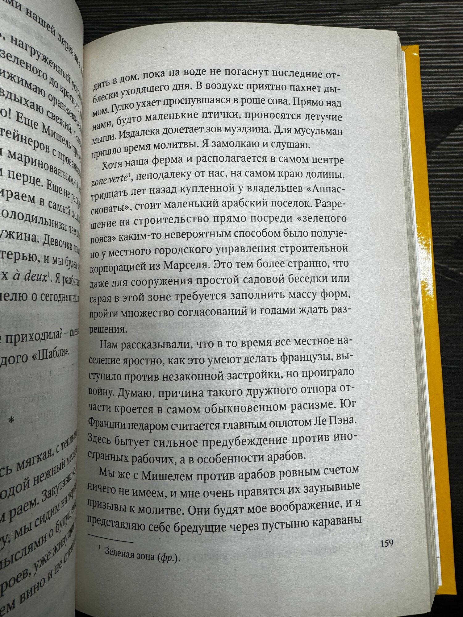 Оливковая ферма — фото 1