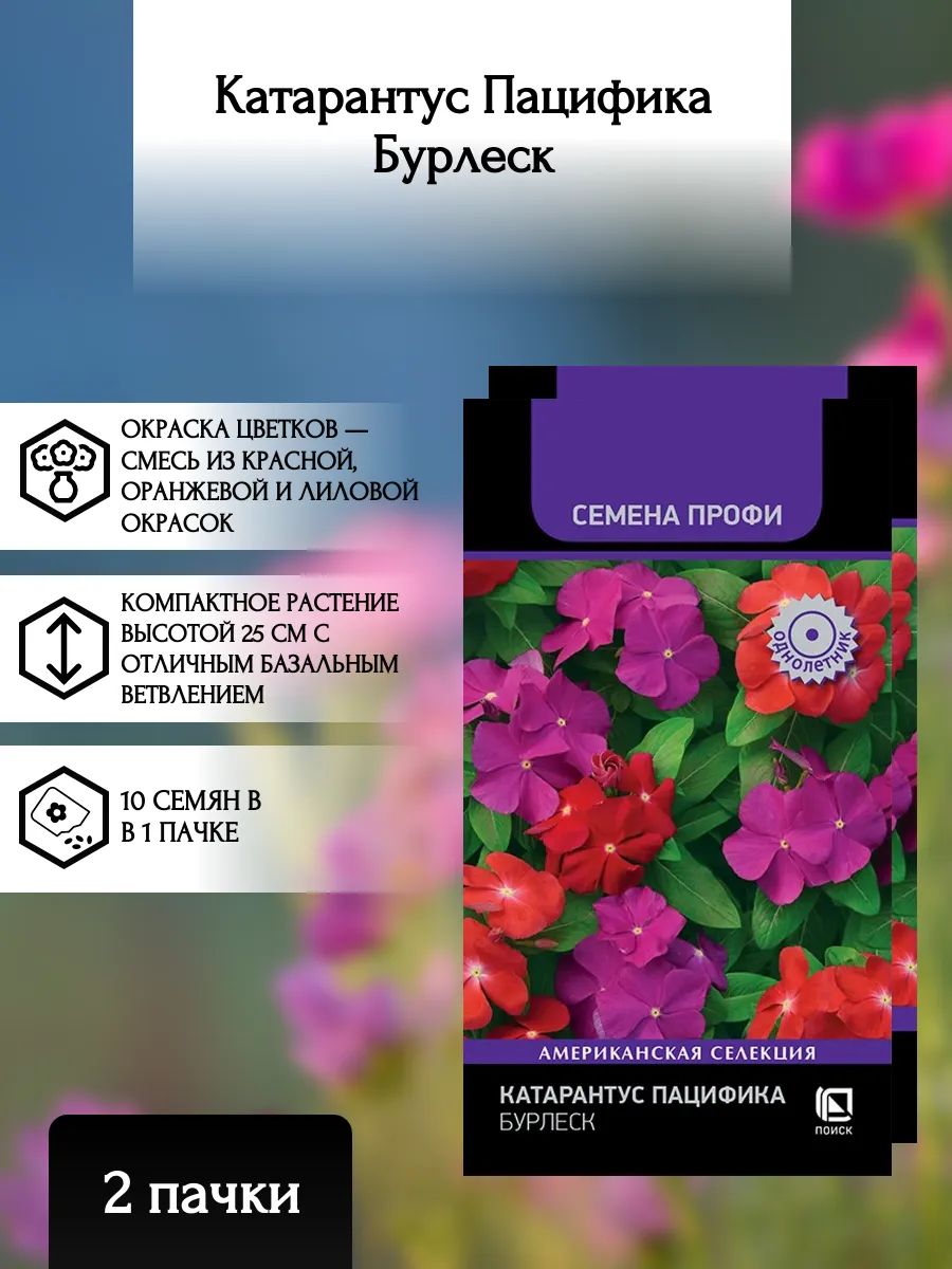 Семена, Катарантус Пацифика Бурлеск, 2 пачки