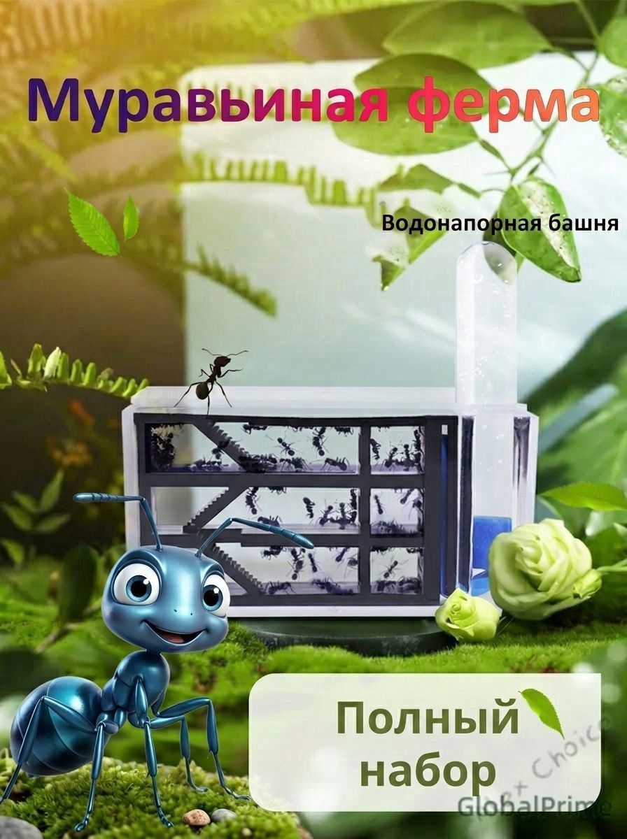 Муравьиная ферма полный комплект Формикарий для муравьев