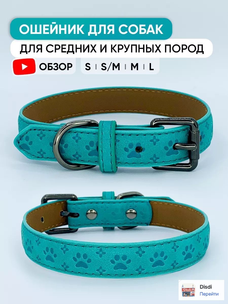 Голубой кожаный ошейник для собак и щенков всех пород, M / 34см - 42см