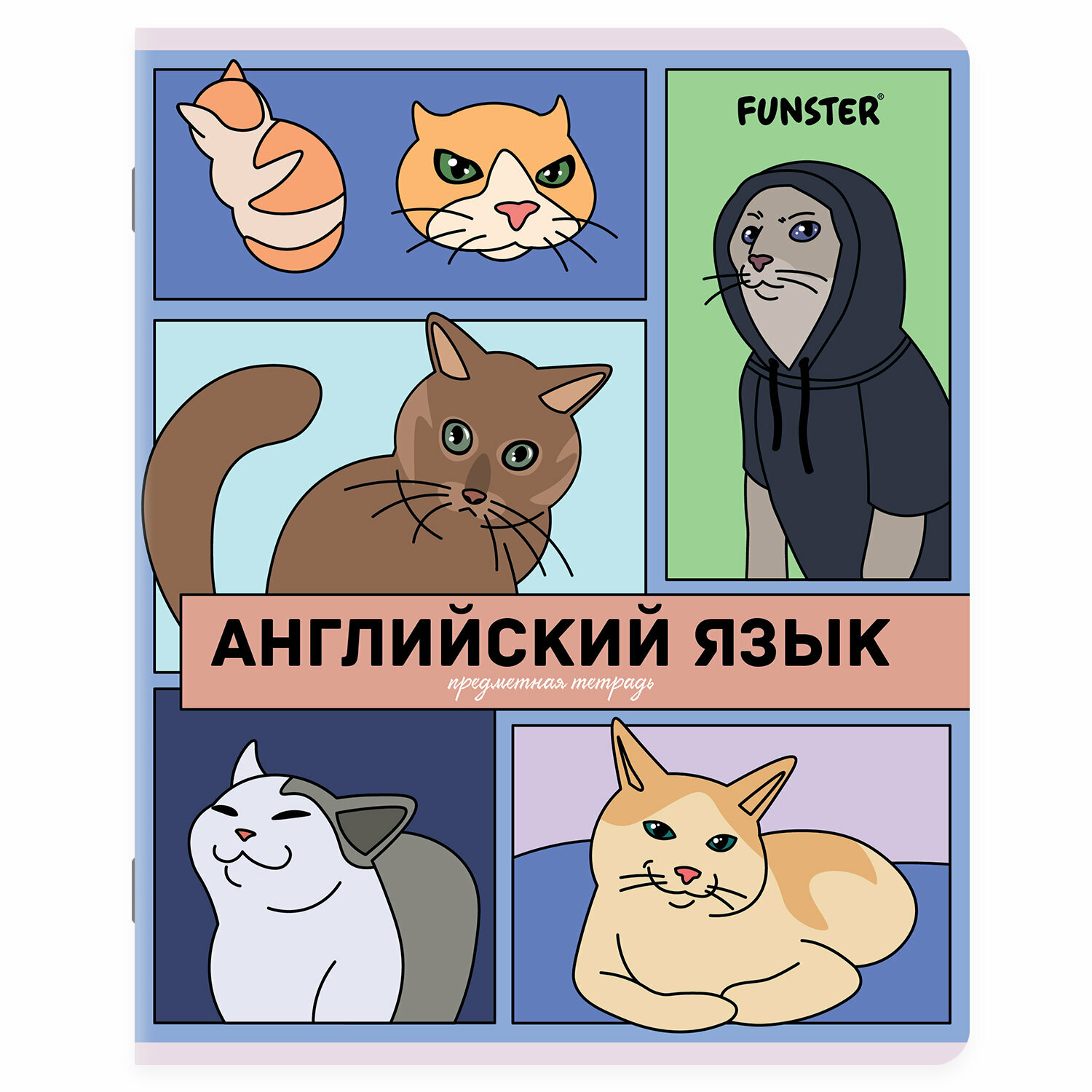 Упаковка 3 шт. Тетради предметные, комплект 12 предметов, 48 л, TWIN-лак, FUNSTER (фанстер), мемные коты, 405604