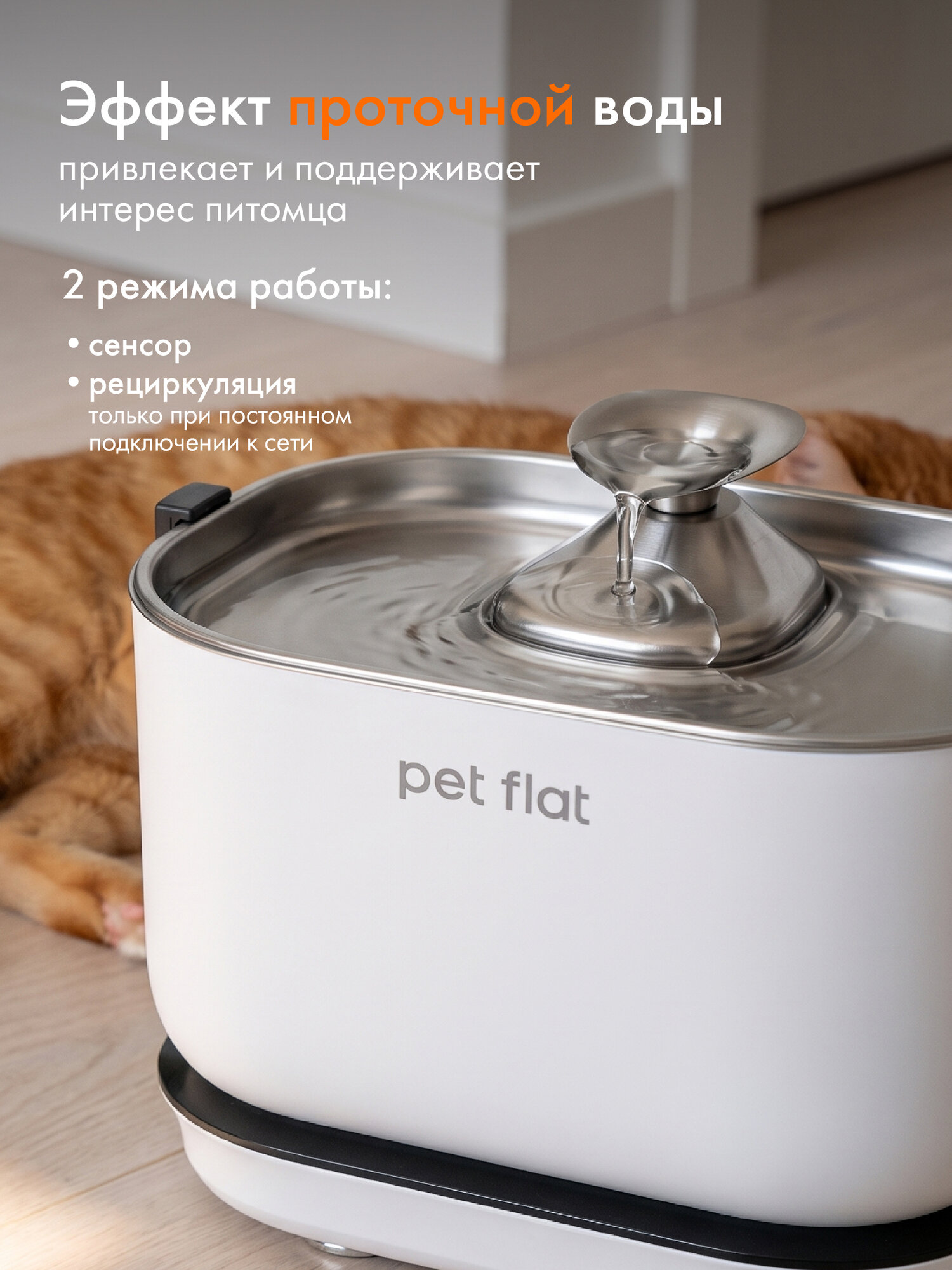 Автоматическая поилка для кошек и собак FD013 Pet Flat — умный фонтан с WiFi-управлением и УФ-очисткой — фото 1