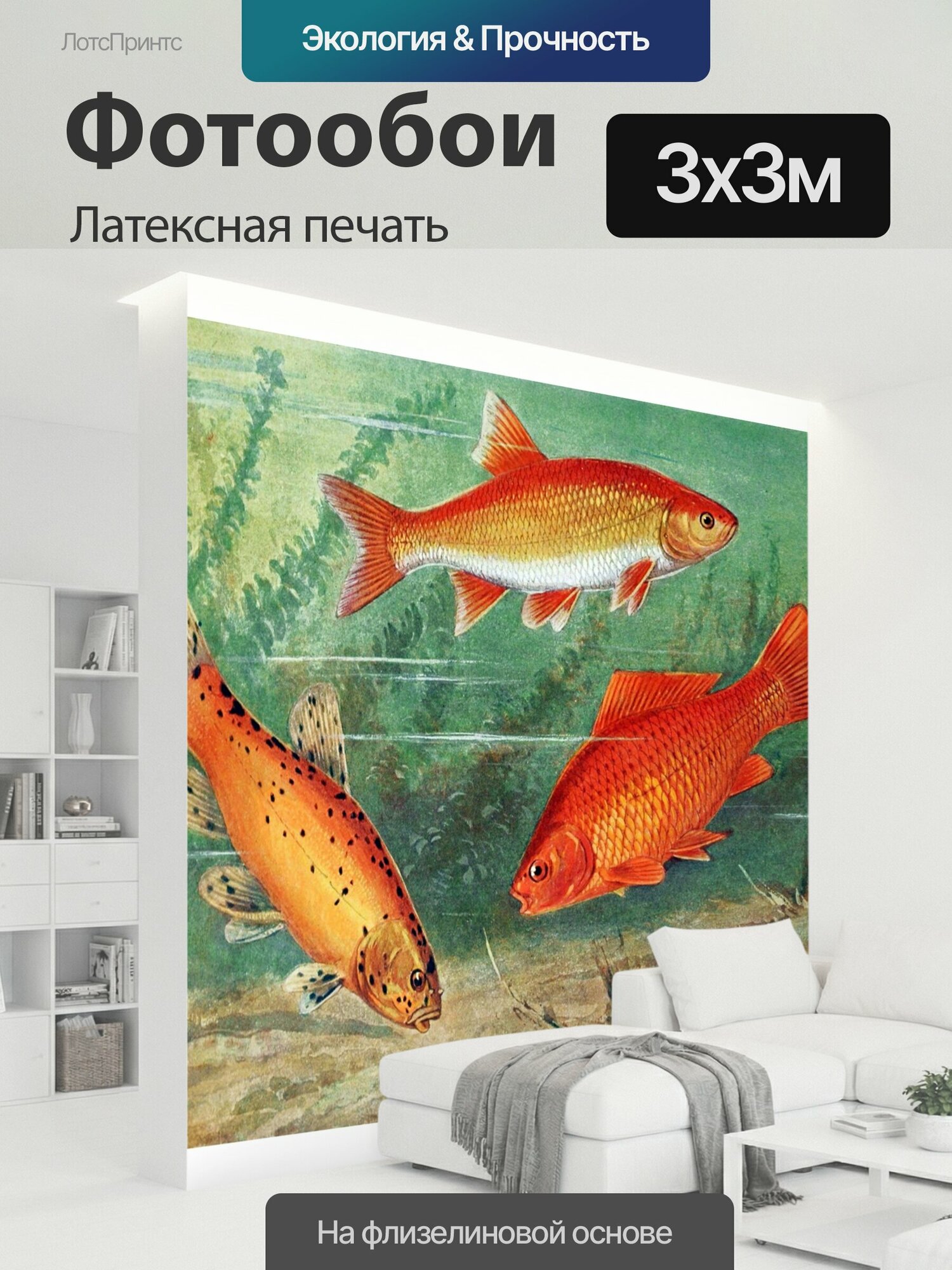 Фотообои моющиеся ударопрочные "Голдорф карась рыба винтаж Голдорфе карась пресноводная рыба рыба винтажное искусство 1900 век иллюстрация." 300x300 см. латексная печать