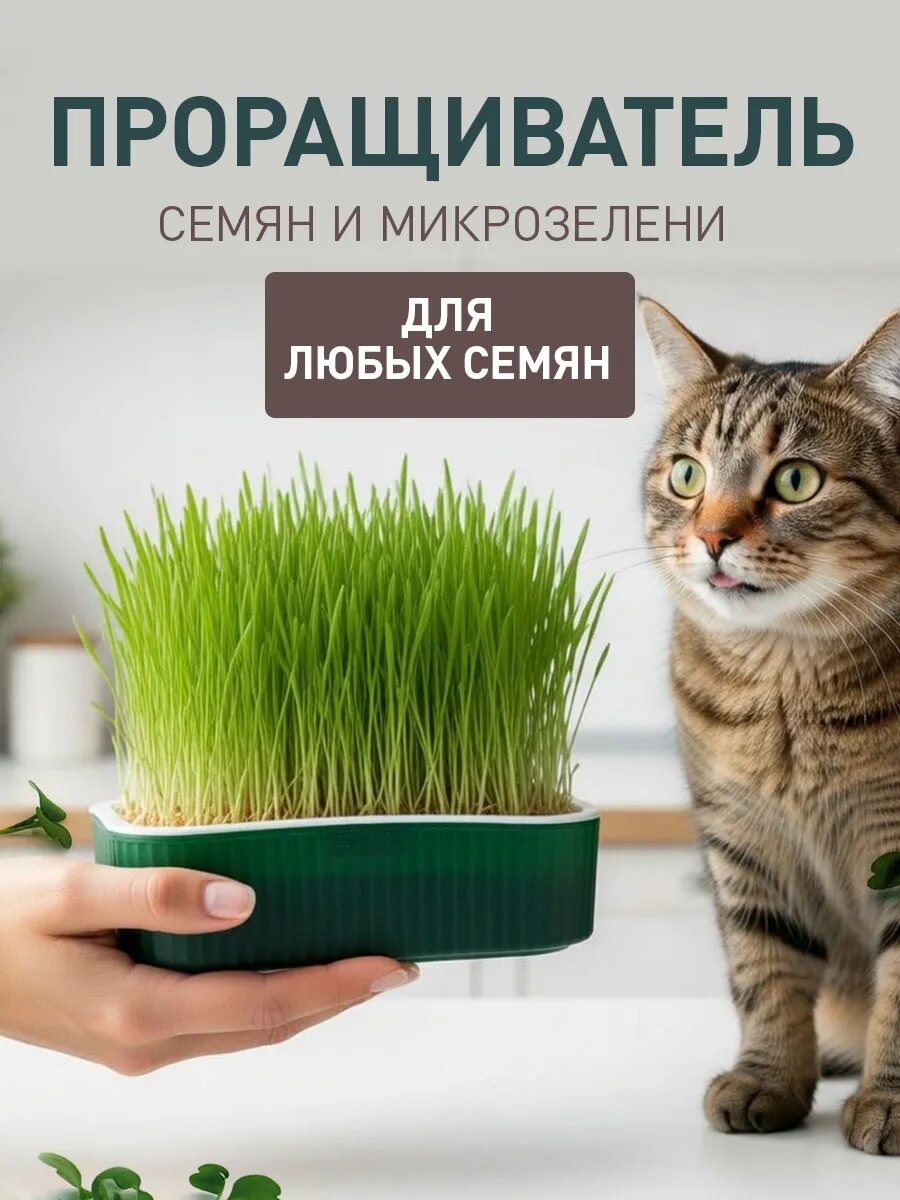 Проращиватель семян iulkapu, для микрозелени, травы для кошек, пластик