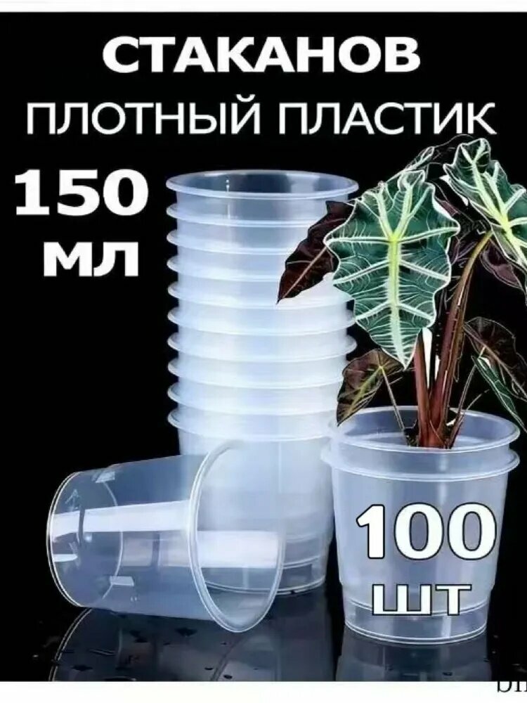 Стаканы одноразовые пластиковые, прозрачные 150мл для напитков, соков, рассады, черенков, суккулентов, фиалок
