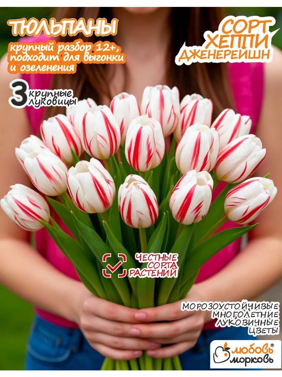 Тюльпан Луковица, Хэппи Дженерейшн, 3 шт крупные