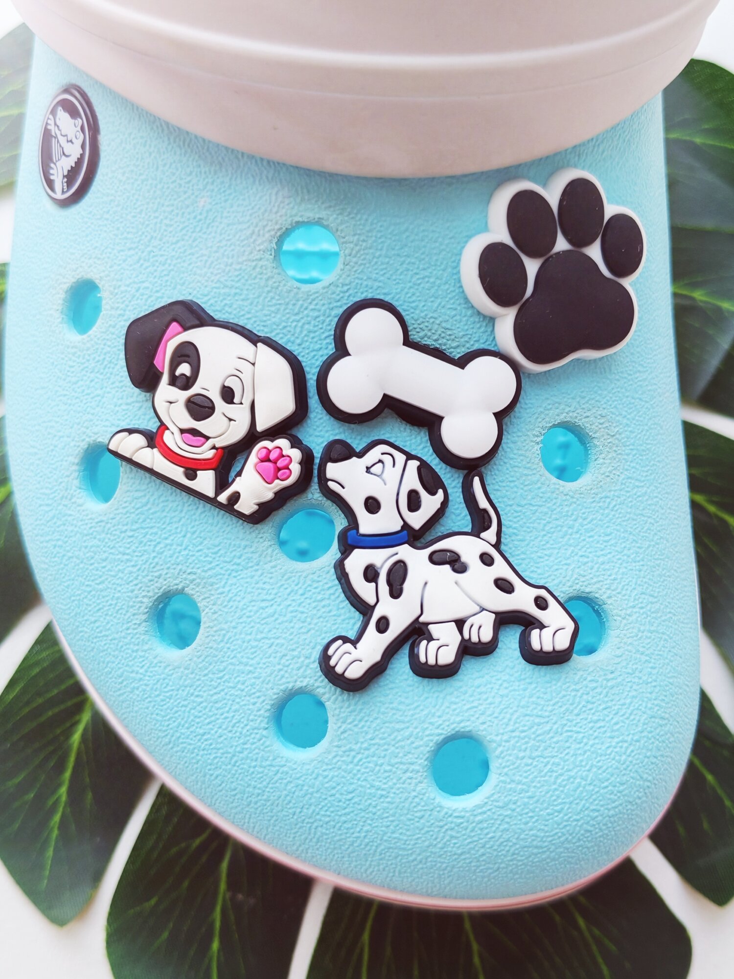 Джибитс Далматинец собака на crocs