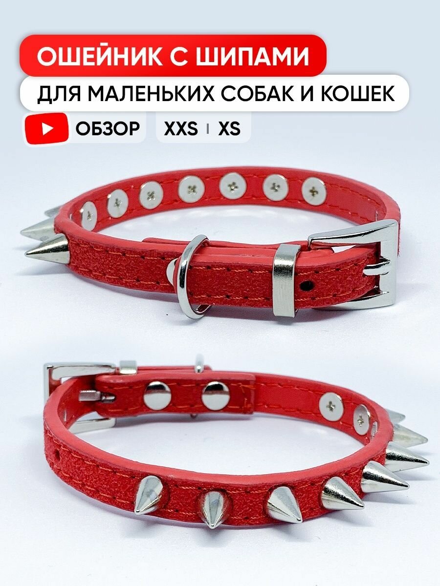 Красный ошейник с шипами для собак мелких пород и кошек, XS / 22см - 27см