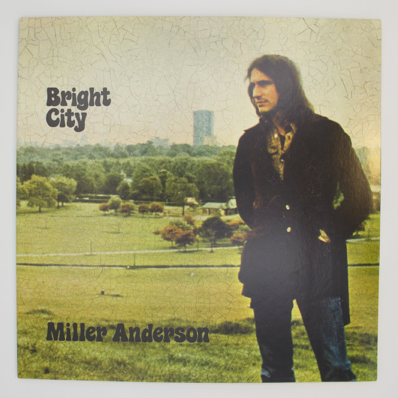 Виниловая пластинка Miller Anderson - Bright City, 1xLP, NM