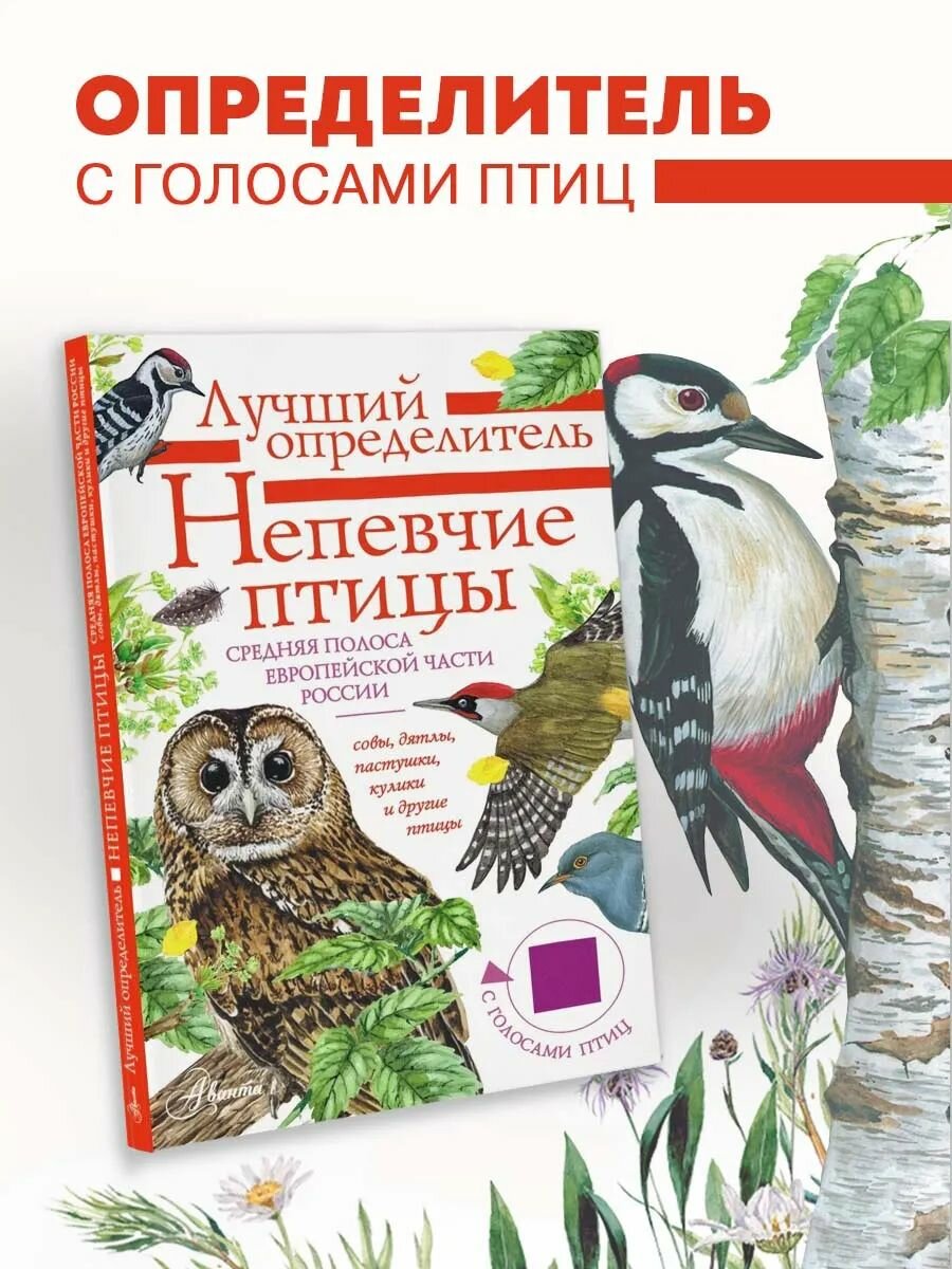 Непевчие птицы. Средняя полоса европейской части России