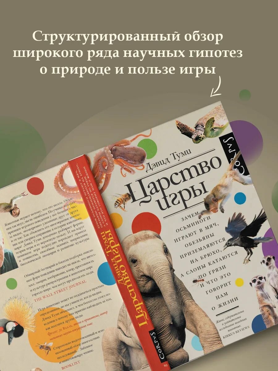 Царство игры — фото 1