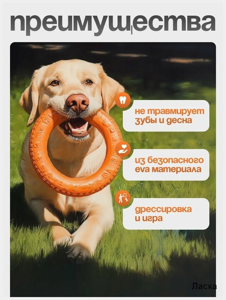 Кольцо-пуллер для собак, 29 см, игрушка для собак — фото 1