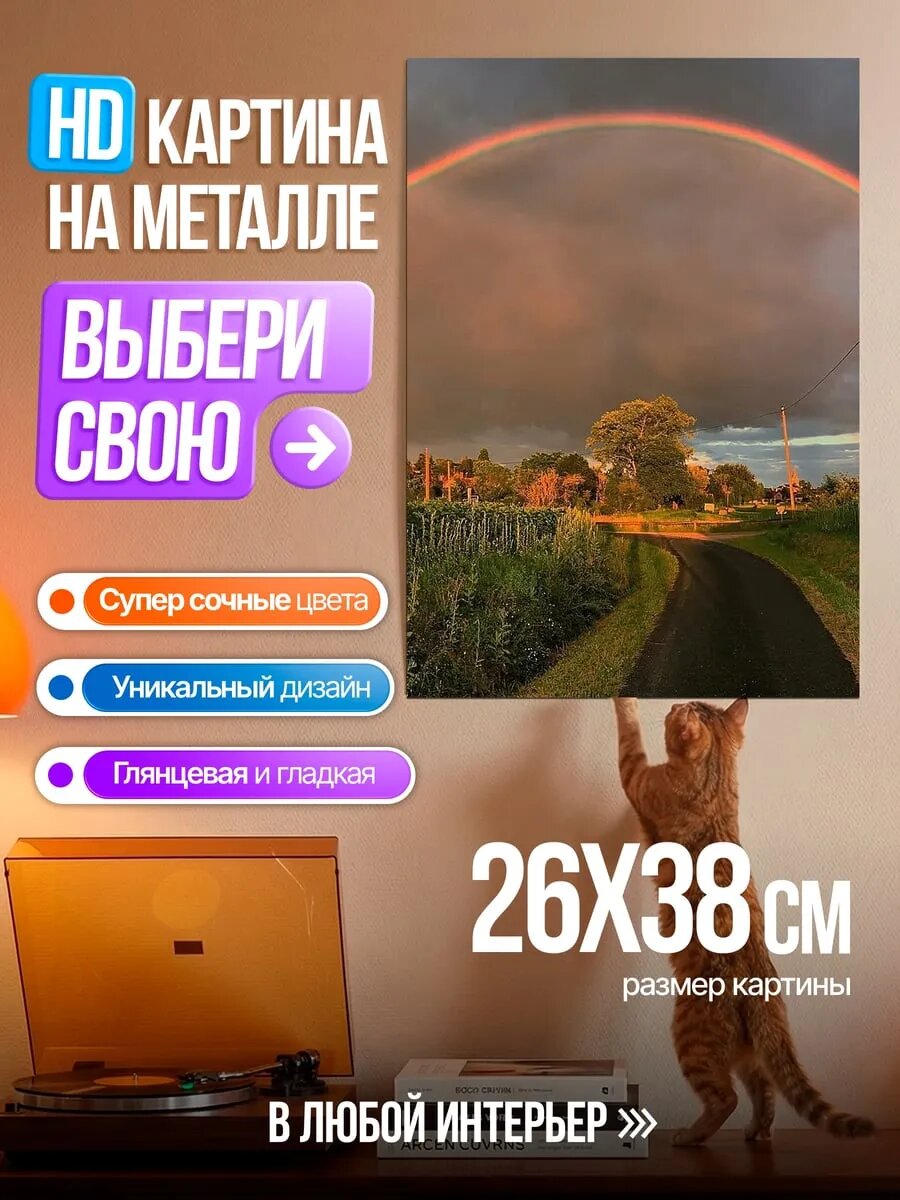 Картина на HD металле Радуга над полем