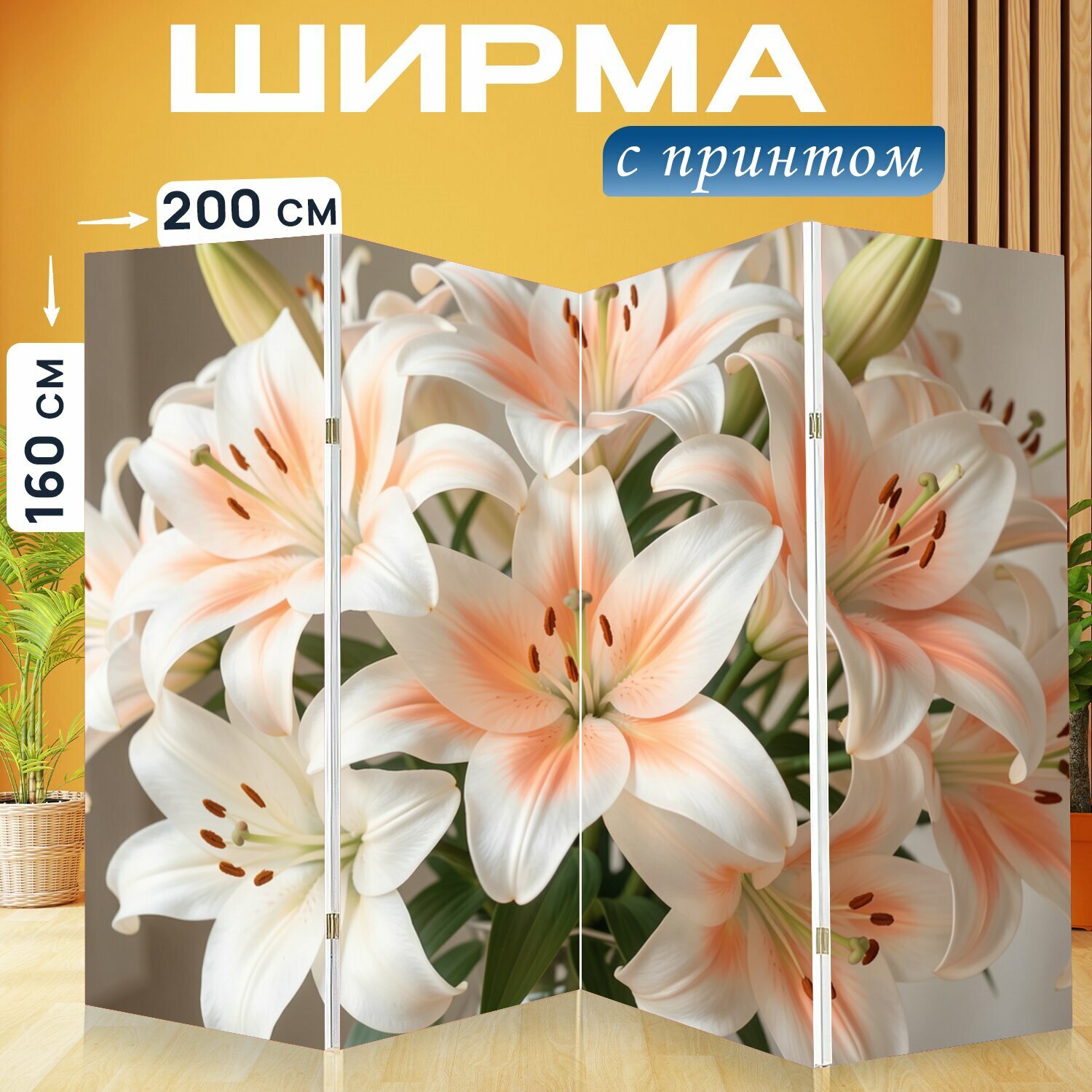 Ширма "Белые лилии с персиковым оттенком. Нежная цветочная композиция с крупными лилиями кремово-белых и." перегородка для зонирования комнаты с принтом 200x160 см. на холсте