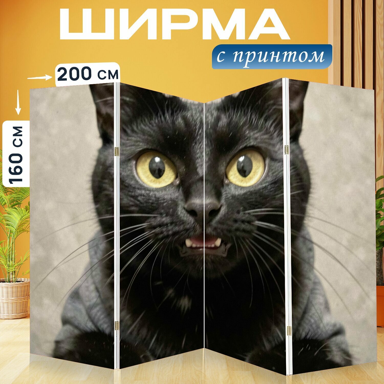 Ширма "Черный кот с удивленным взглядом. Крупный план черного кота с яркими желтыми глазами и приоткрытой." перегородка для зонирования комнаты с принтом 200x160 см. на холсте