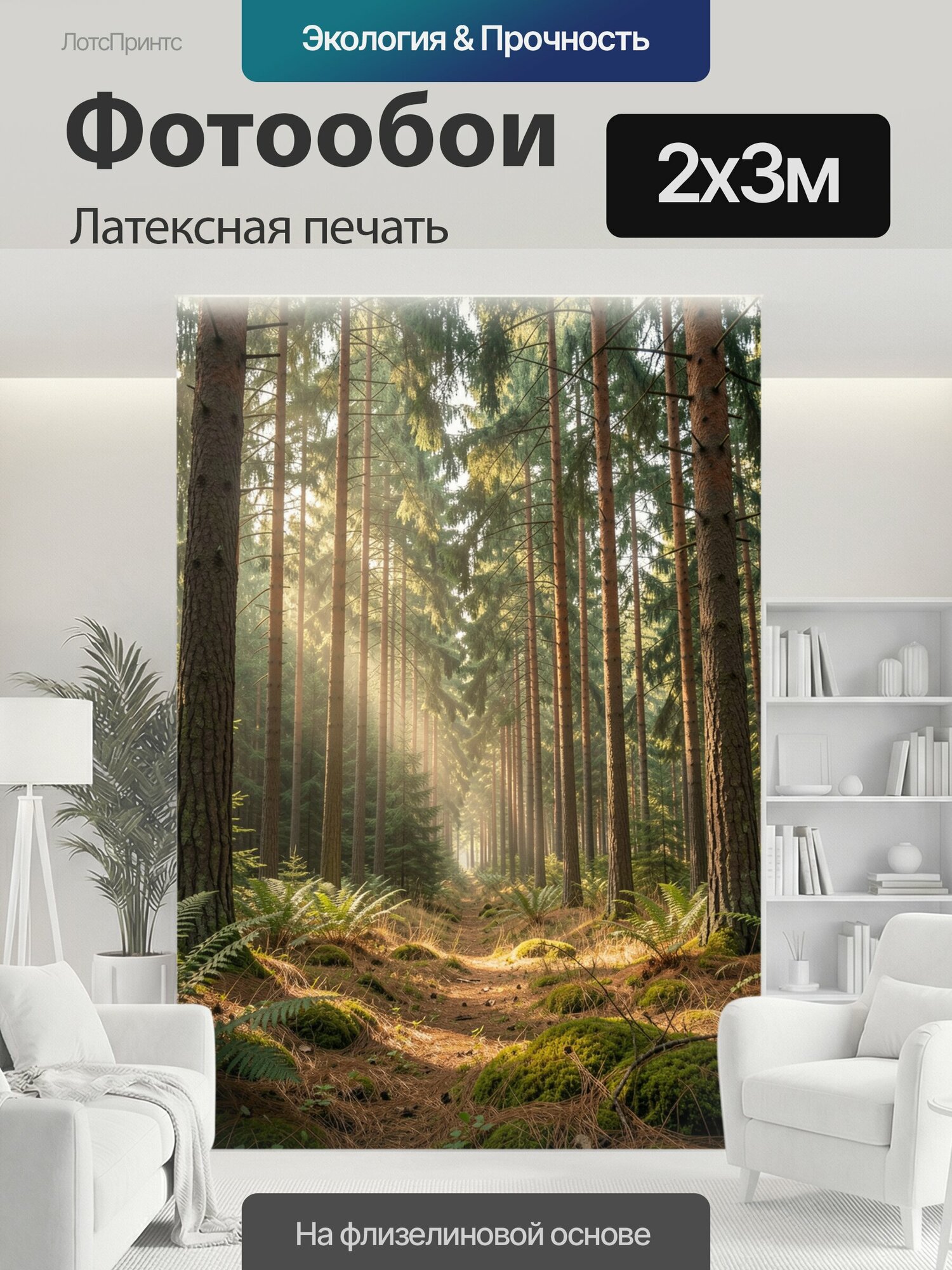 Фотообои моющиеся ударопрочные "Солнечный хвойный лес. Высокие сосны и ели в туманном бору, мягкие лучи солнца, мох, папоротники и лесная." 200x300 см. латексная печать