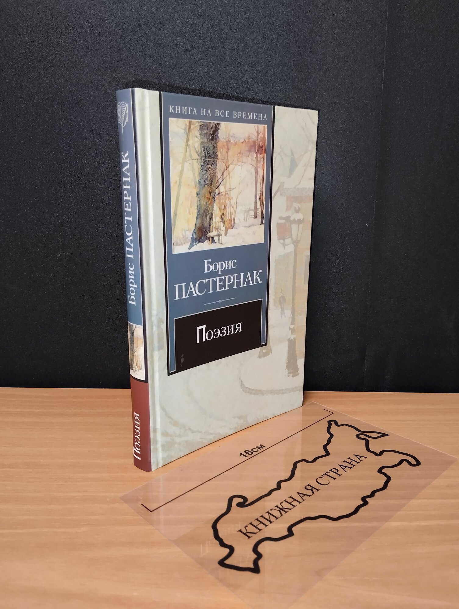 Поэзия. Борис Пастернак. 2004