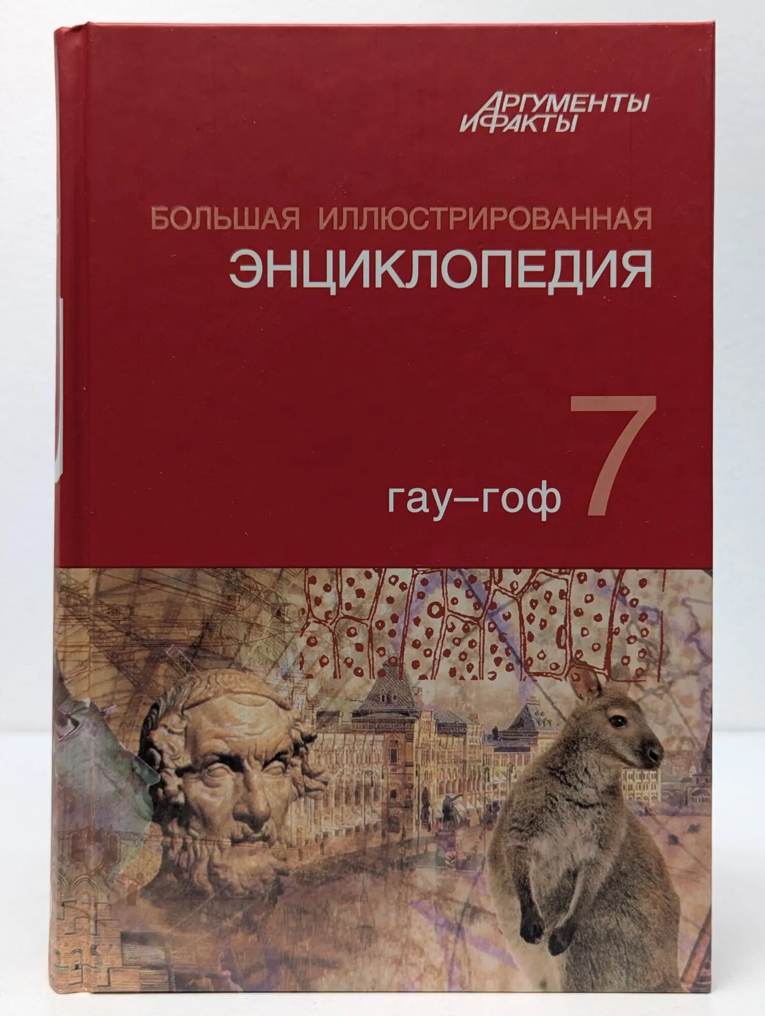 Большая иллюстрированная энциклопедия. В 32 томах. Том 7 Сборник 2010