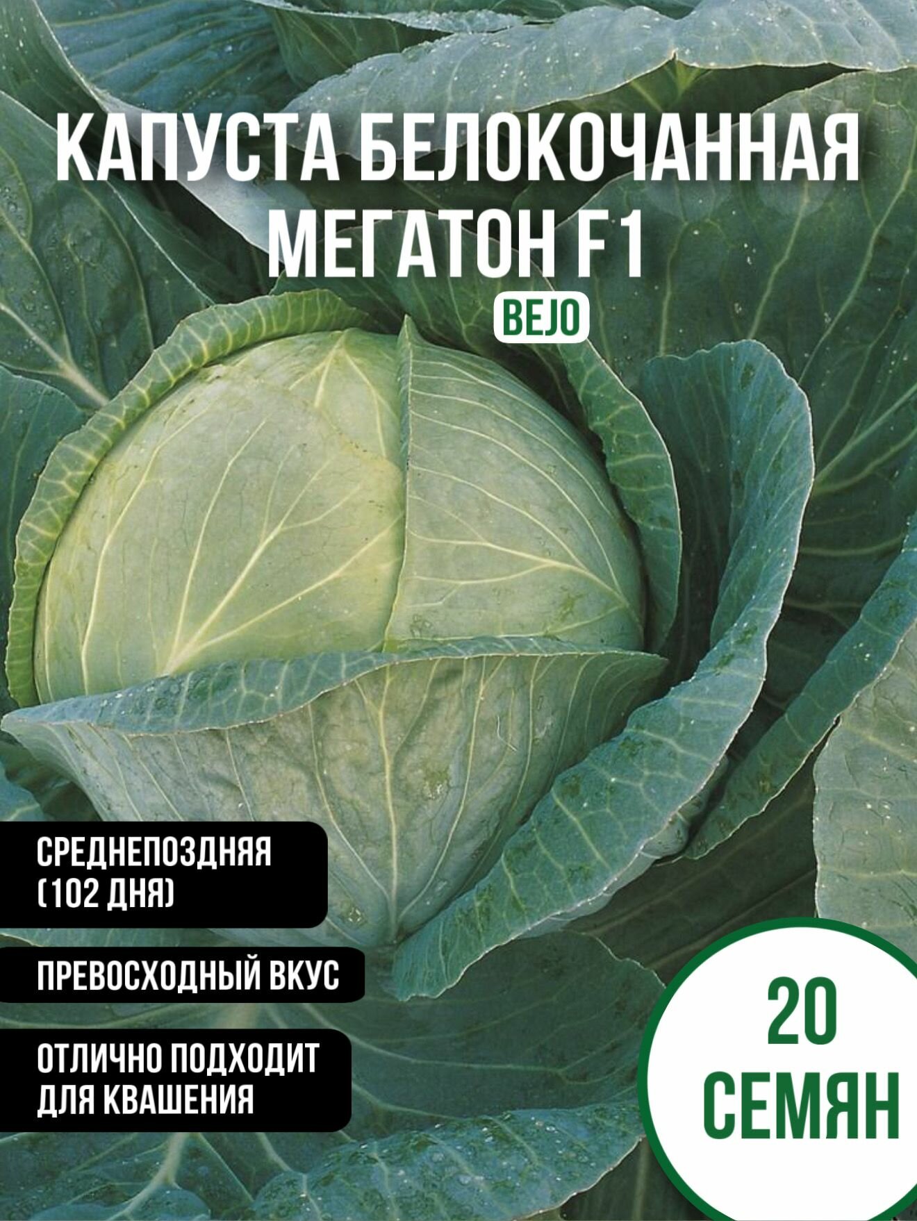 Капуста белокочанная Мегатон F1 20 семян, Bejo (Голландия)