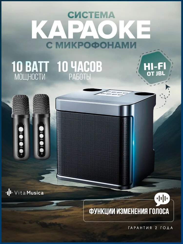 Караоке система Vita Musica с двумя беспроводными микрофонами