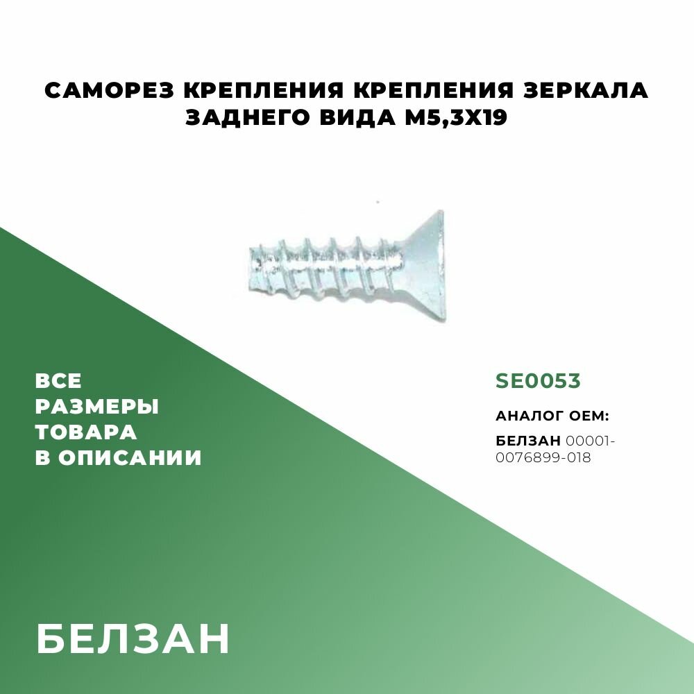 Саморез зеркала заднего вида M5,3х19; 10 шт; БелЗАН 00001-0076899-018; SE0053