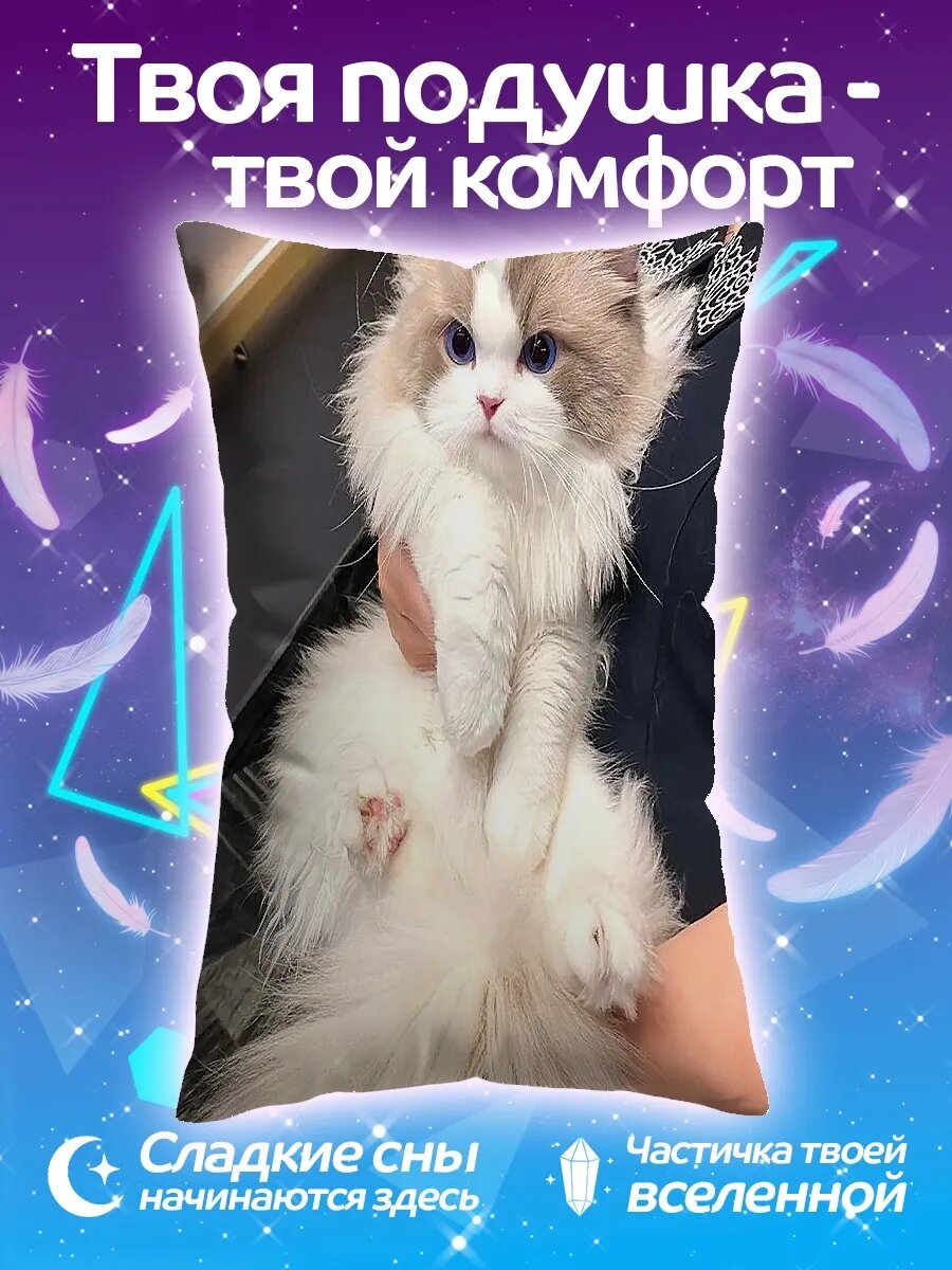 Подушка дакимакура пушистый кот синие глаза