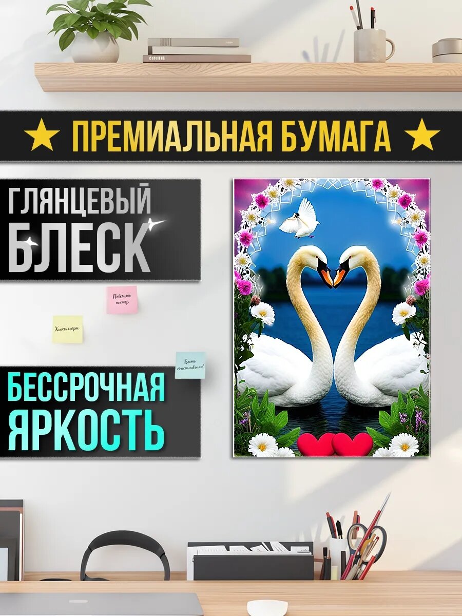 Плакат постер Два лебедя в форме сердца — фото 1