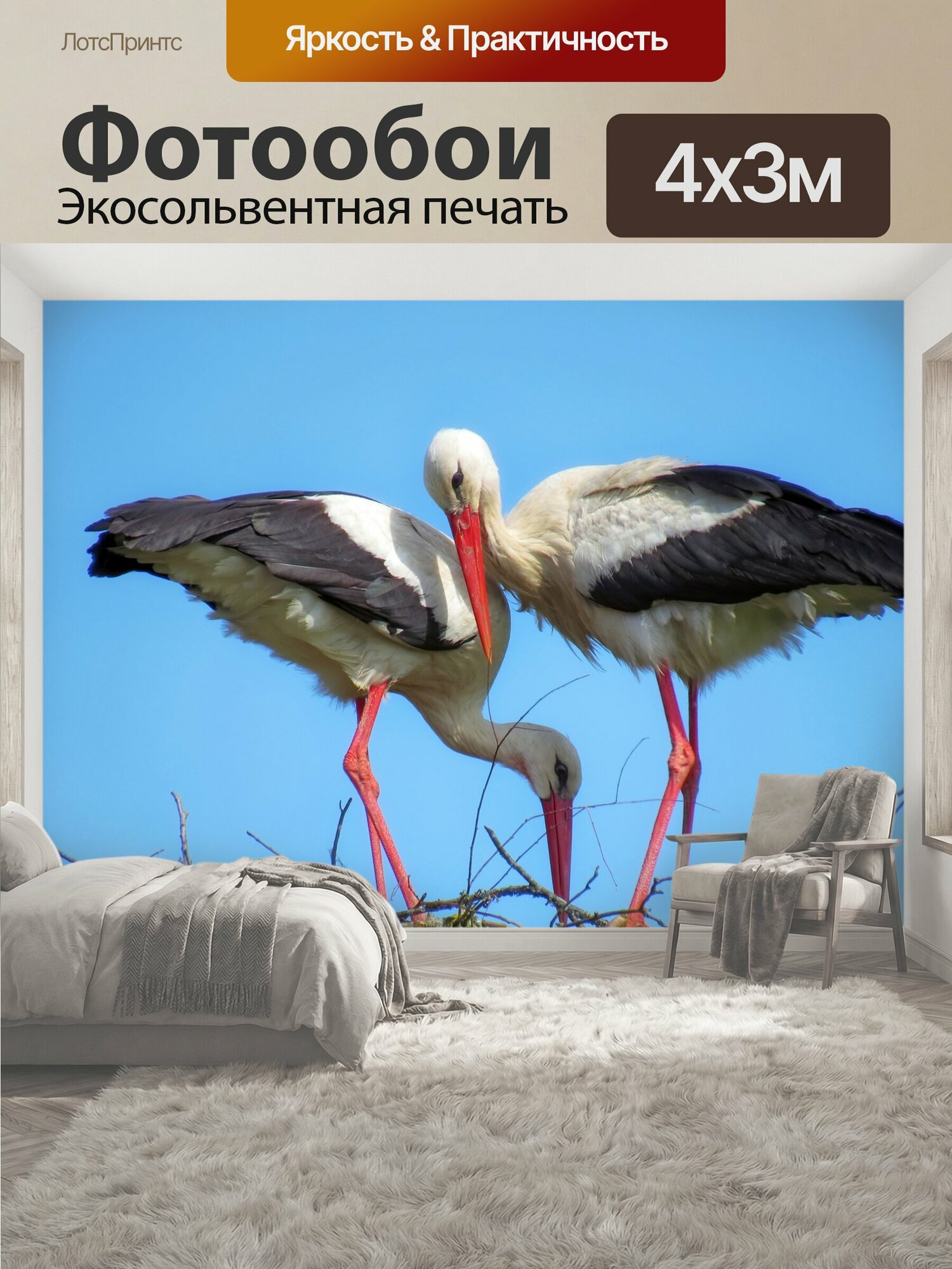 Фотообои "Аист, птицы, пернатые" 400x300 см. экосольвентная печать