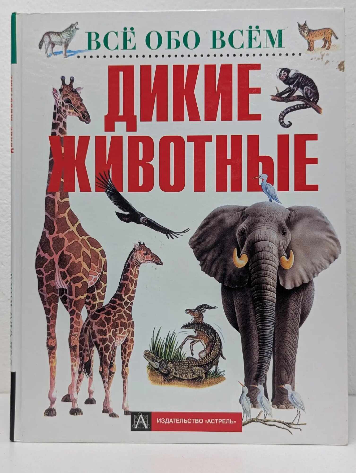 Все обо всем. Дикие животные Сборник 2005