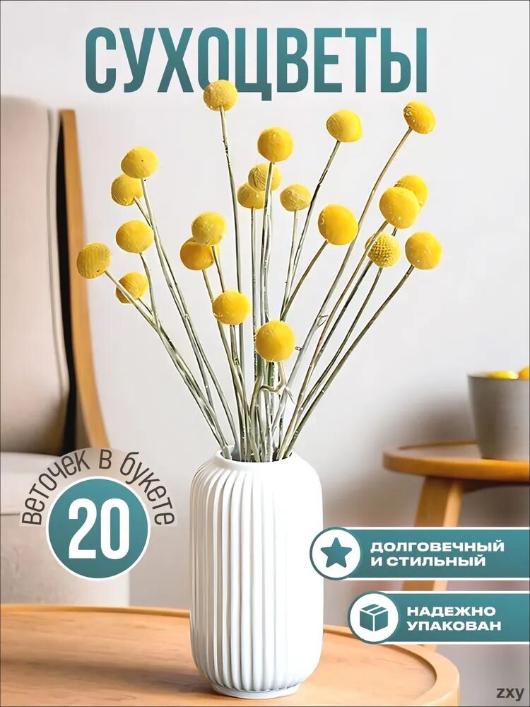 Сухоцветы Краспедия, 30 см, 70 гр