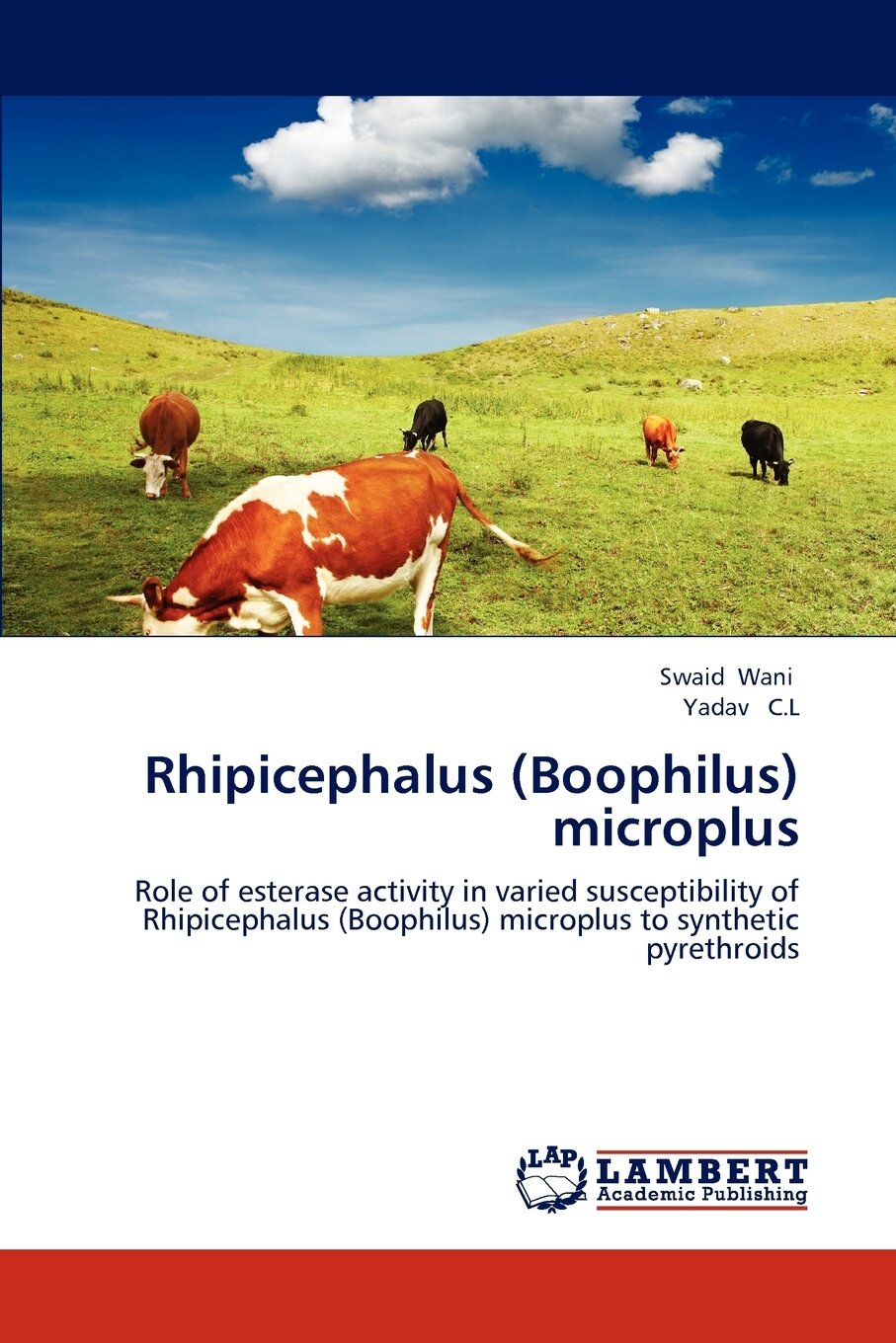 Rhipicephalus (Boophilus) microplus — фото 1