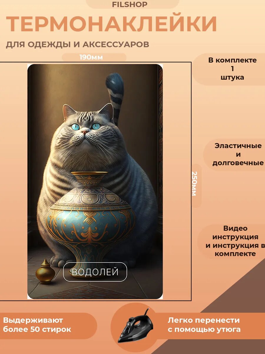 Термонаклейка на одежду знак зодиака кошка водолей