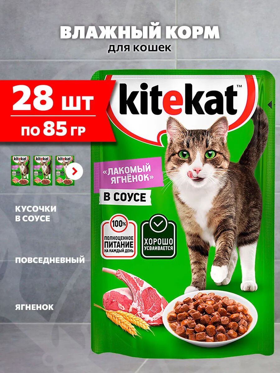 Корм влажный Kitekat для взрослых кошек, лакомый ягненок в соусе, 85 г 28 шт
