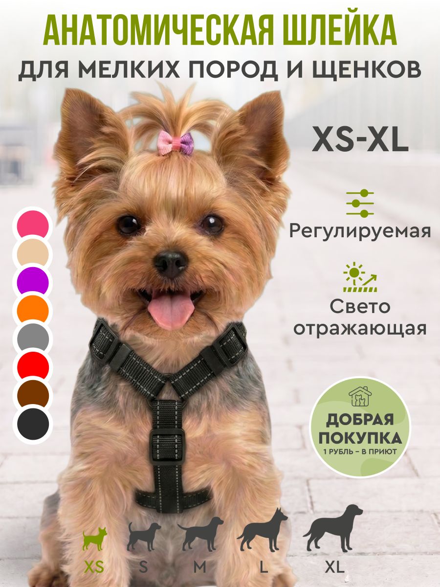 Анатомическая регулируемая шлейка для собак мелких пород и щенков MiloPets, XS