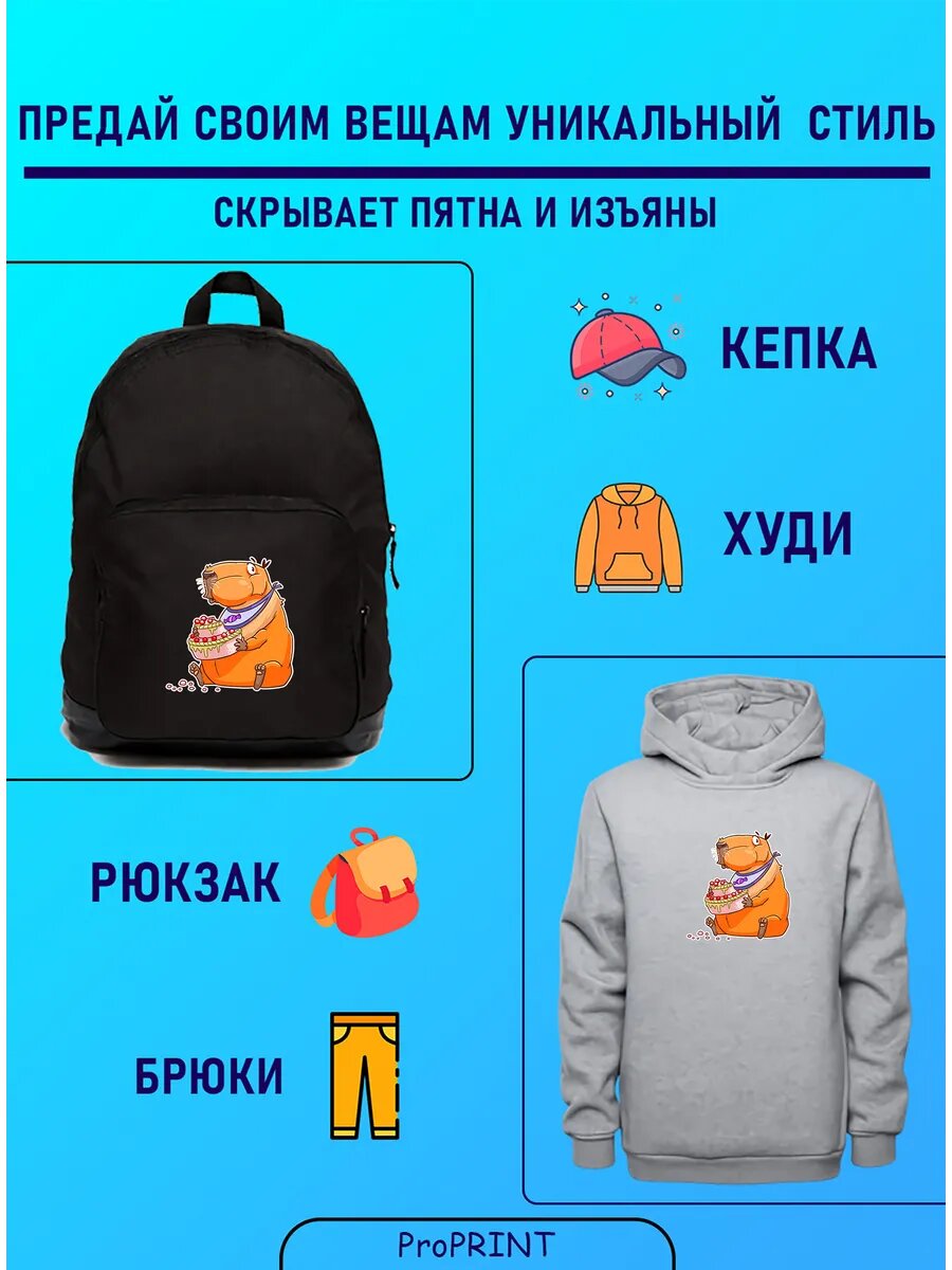 Термонаклейка на одежду детская капибара — фото 1