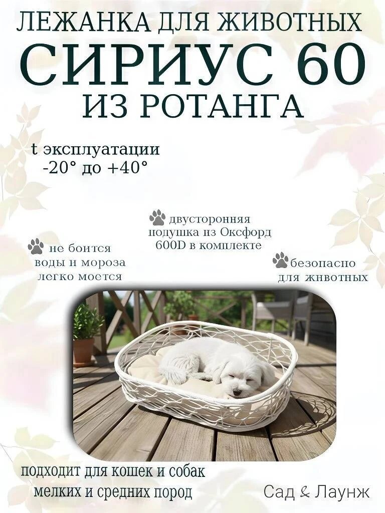 Лежанка «Сириус 60» для кошек и собак белая: ротанговое плетение, с бортиками, подушка бежевая